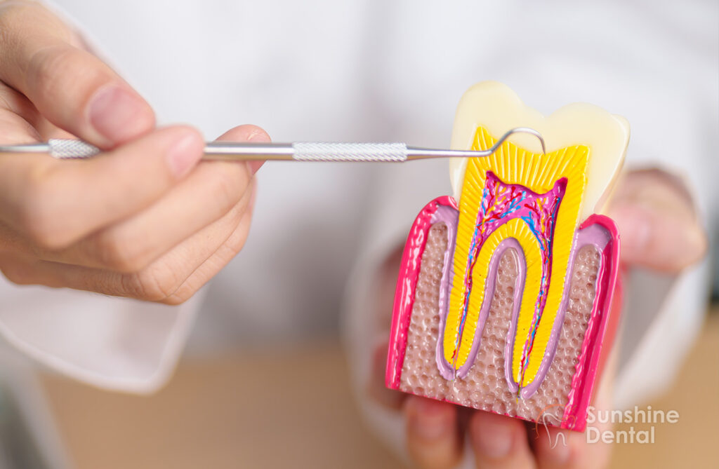 Sunshine Dental Clinic - Sunshine Dental Clinic